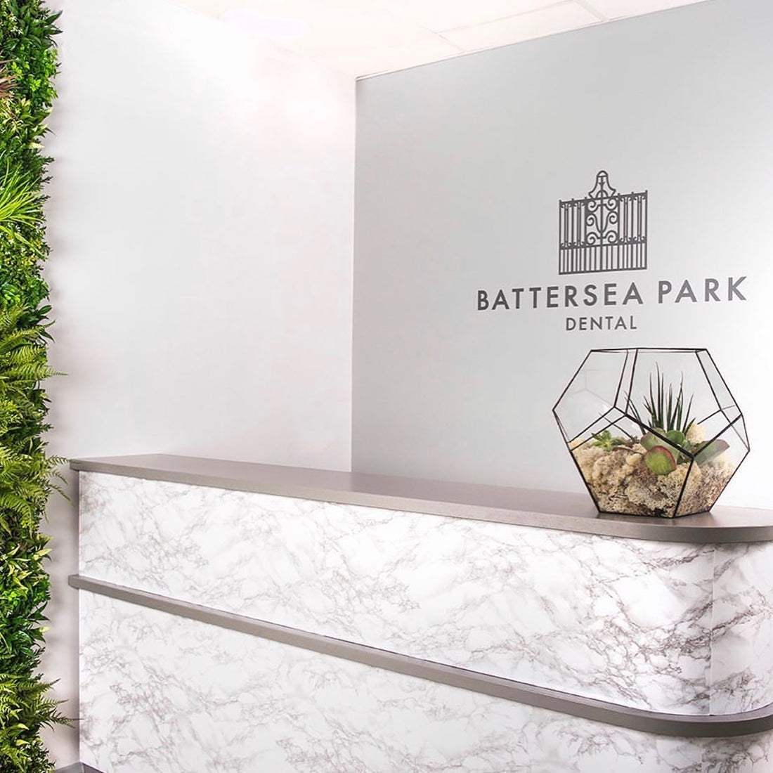 Office Plants | Office Terrarium - The Urban Botanist
