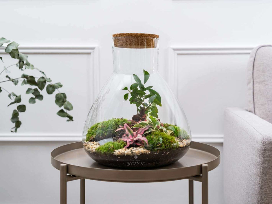 Closed Terrariums - Self Watering Sealed Glass Terrariums – The Urban ...