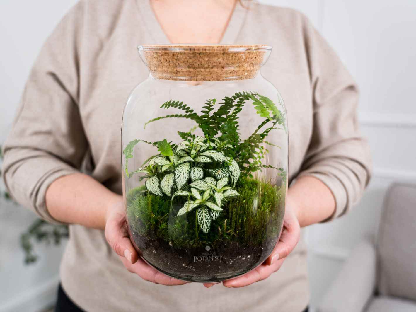 Pre-Assembled Terrarium with Live Plants| The Urban Botanist