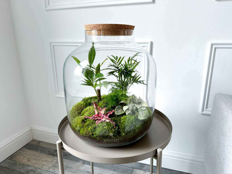 Closed Terrariums - Self Watering Sealed Glass Terrariums – The Urban ...