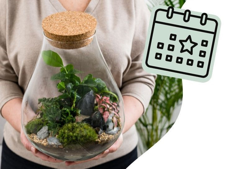 The Urban Botanist - Terrariums, Ecosystems and Plant Gifts