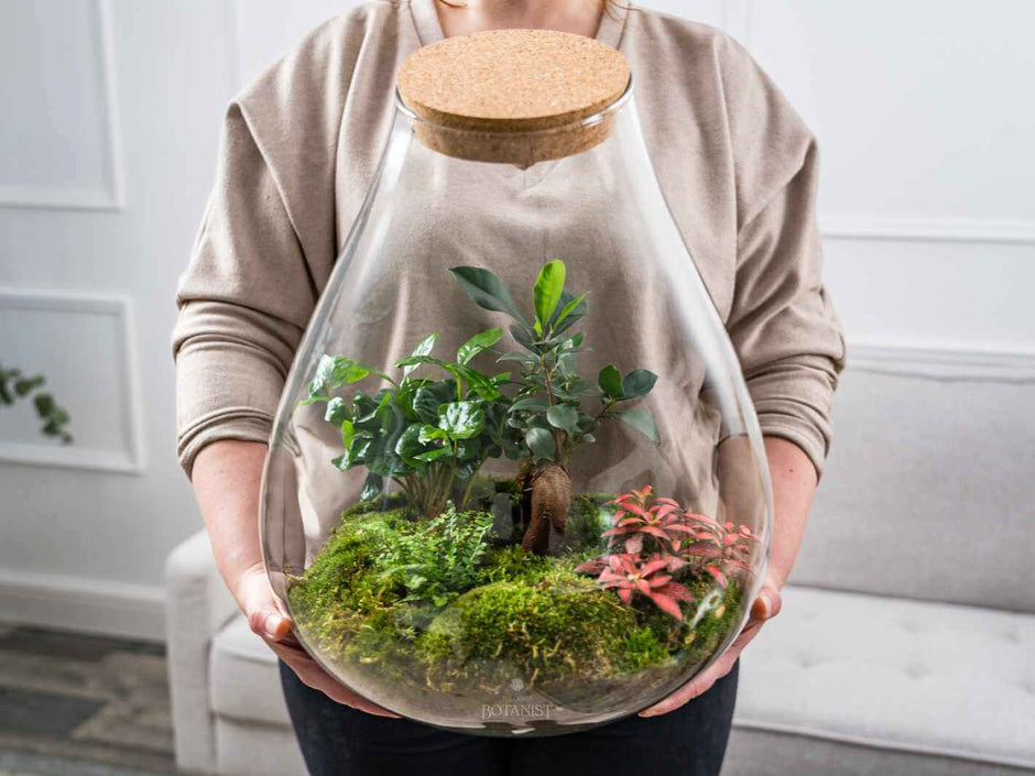 Closed Terrariums - Self Watering Sealed Glass Terrariums – The Urban ...