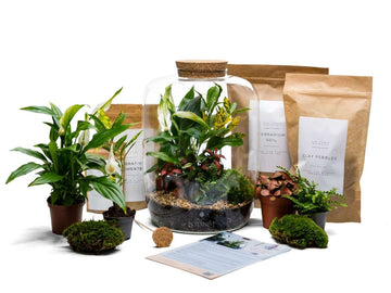 Terrariums, Terrarium Kits and Fully Assembled Succulent and Cacti ...