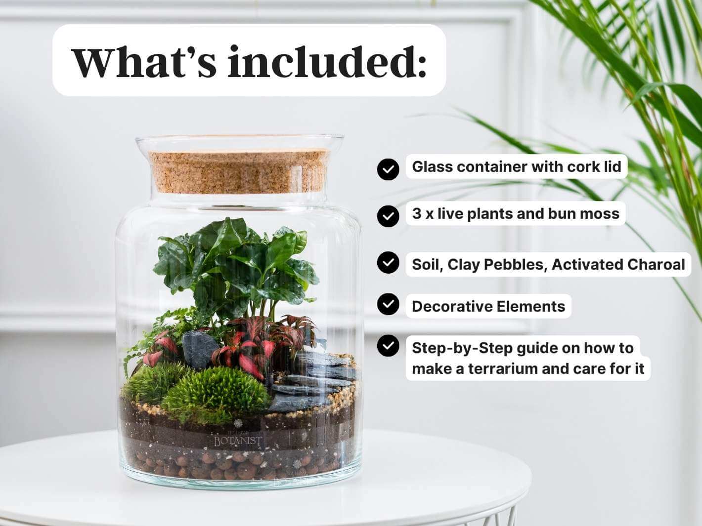 DIY Sealed Terrarium Kit - Ecosystem Terrarium | The Urban Botanist