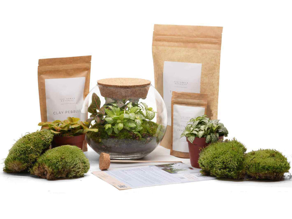 Terrariums, Terrarium Kits and Fully Assembled Succulent and Cacti ...