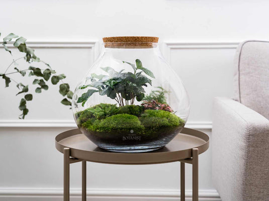 Closed Terrariums - Self Watering Sealed Glass Terrariums – The Urban ...
