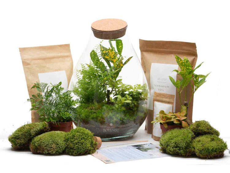 Terrariums, Terrarium Kits and Fully Assembled Succulent and Cacti ...