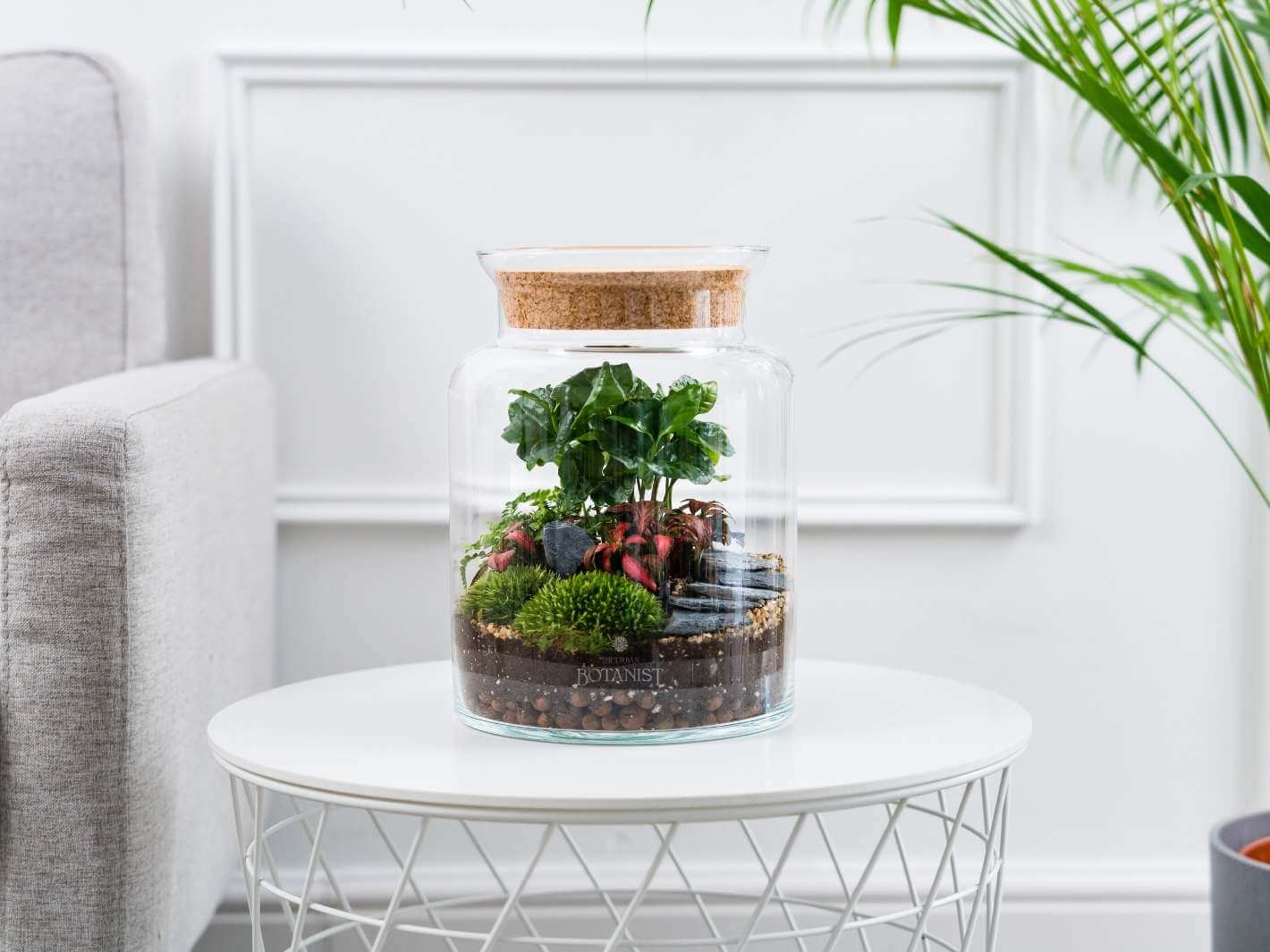 DIY Sealed Terrarium Kit - Ecosystem Terrarium | The Urban Botanist