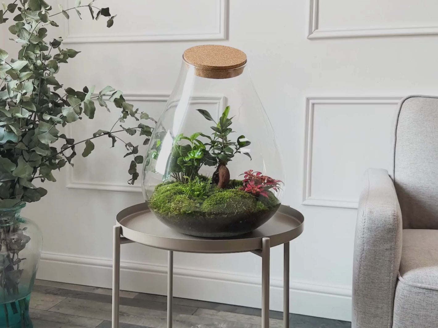 Extra Large Bonsai Terrarium with UK Delivery | The Urban Botanist
