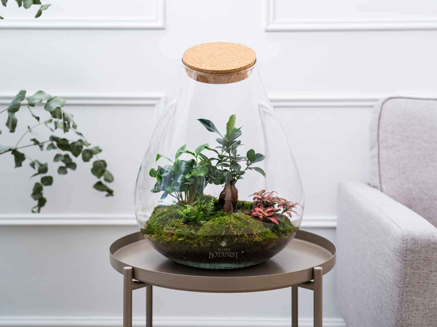 Extra Large Bonsai Terrarium with UK Delivery | The Urban Botanist