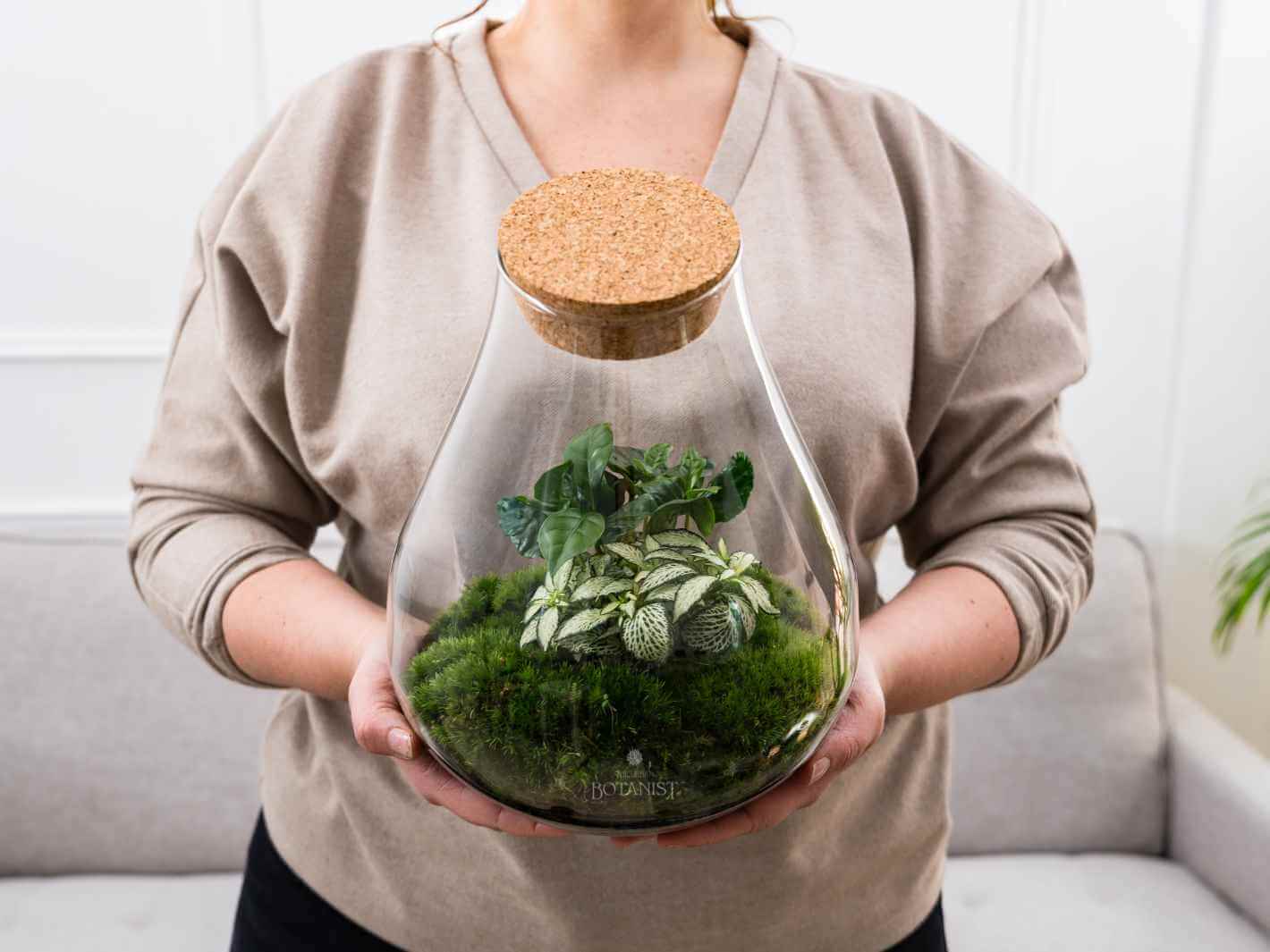Ready-Made Duo Terrarium Set Ecosystem | The Urban Botanist