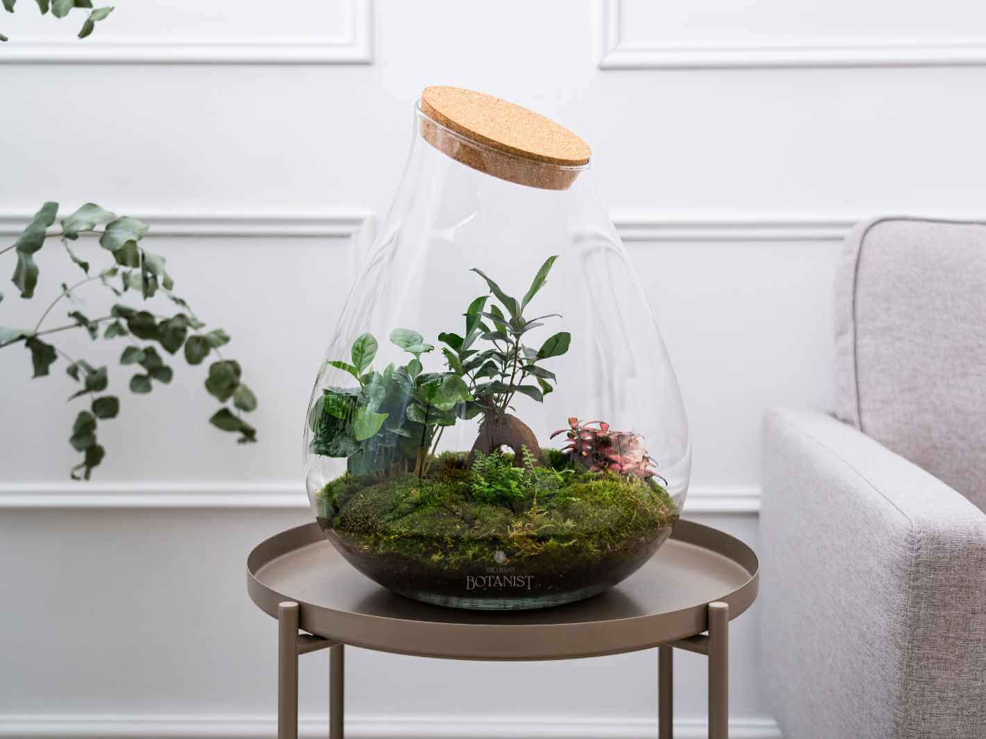 Extra Large Bonsai Terrarium with UK Delivery | The Urban Botanist