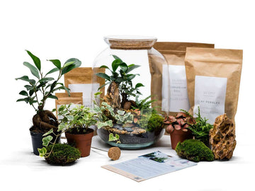 Terrariums, Terrarium Kits and Fully Assembled Succulent and Cacti ...