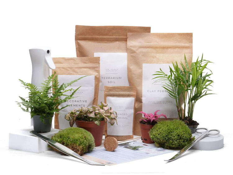 DIY Terrarium Kits: Build Your Own Miniature Garden | The Urban Botanist