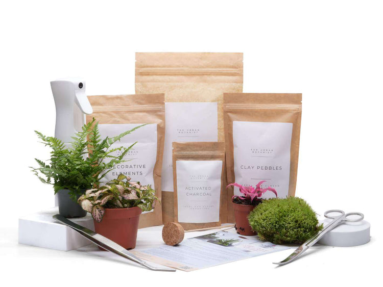 DIY Terrarium Kits: Build Your Own Miniature Garden | The Urban Botanist