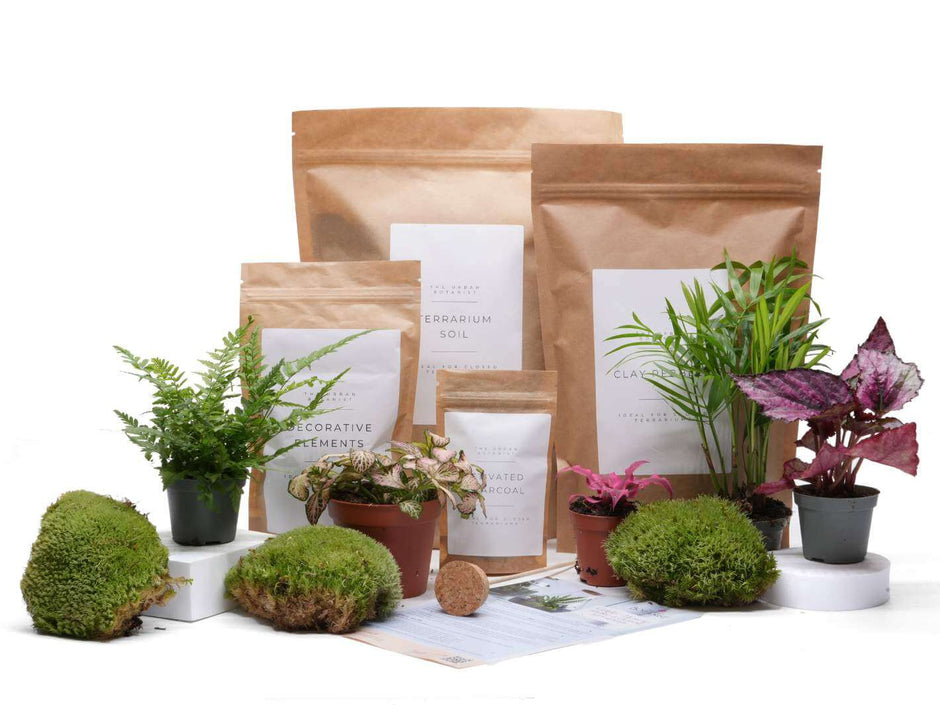 DIY Terrarium Kits: Build Your Own Miniature Garden | The Urban Botanist