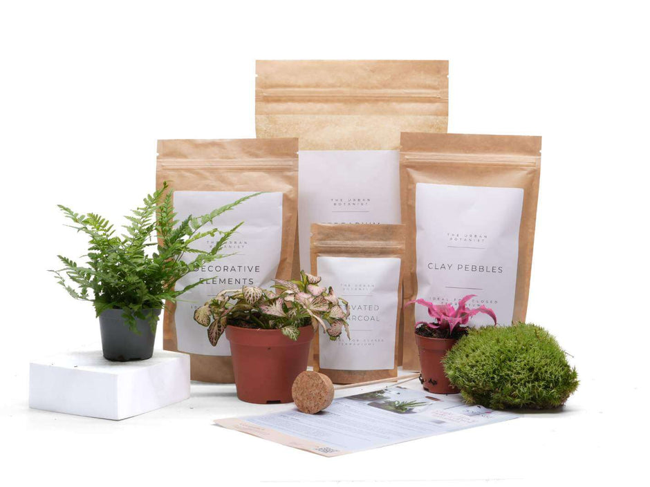 DIY Terrarium Kits: Build Your Own Miniature Garden | The Urban Botanist