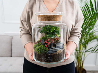 DIY Sealed Terrarium Kit - Ecosystem Terrarium | The Urban Botanist