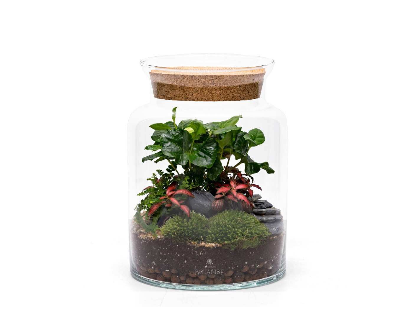 DIY Sealed Terrarium Kit - Ecosystem Terrarium | The Urban Botanist