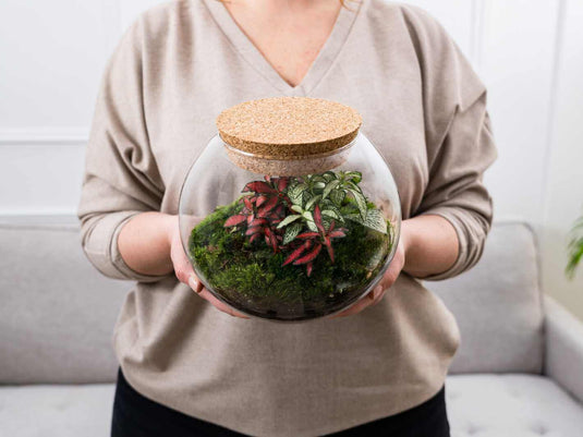 The Urban Botanist - Terrariums, Ecosystems and Plant Gifts