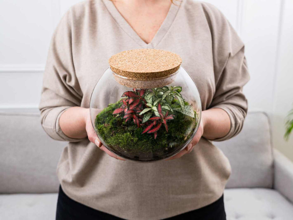 The Urban Botanist - Terrariums, Ecosystems and Plant Gifts