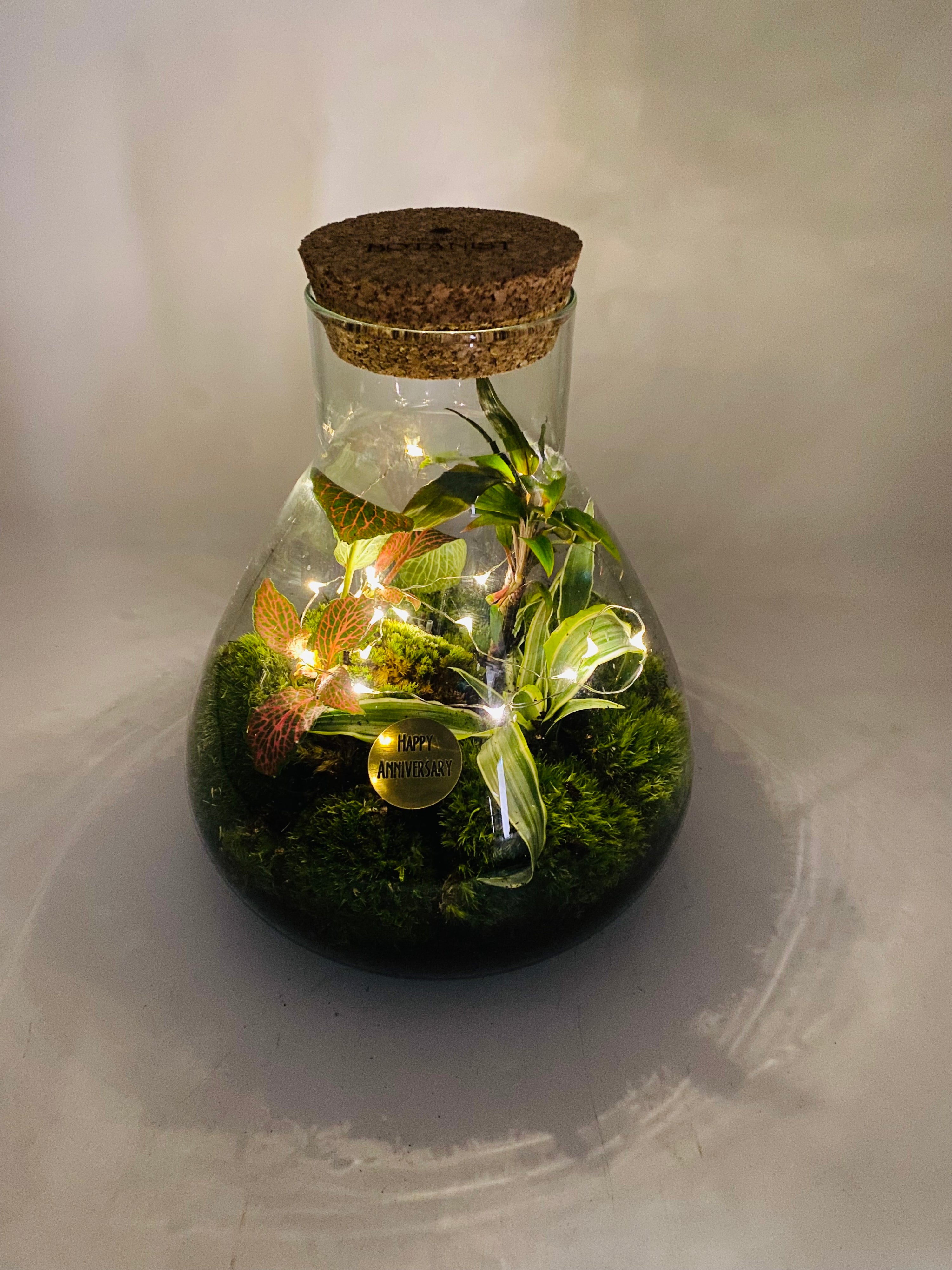 The Urban Botanist - Terrariums, Ecosystems and Plant Gifts#N# – www ...